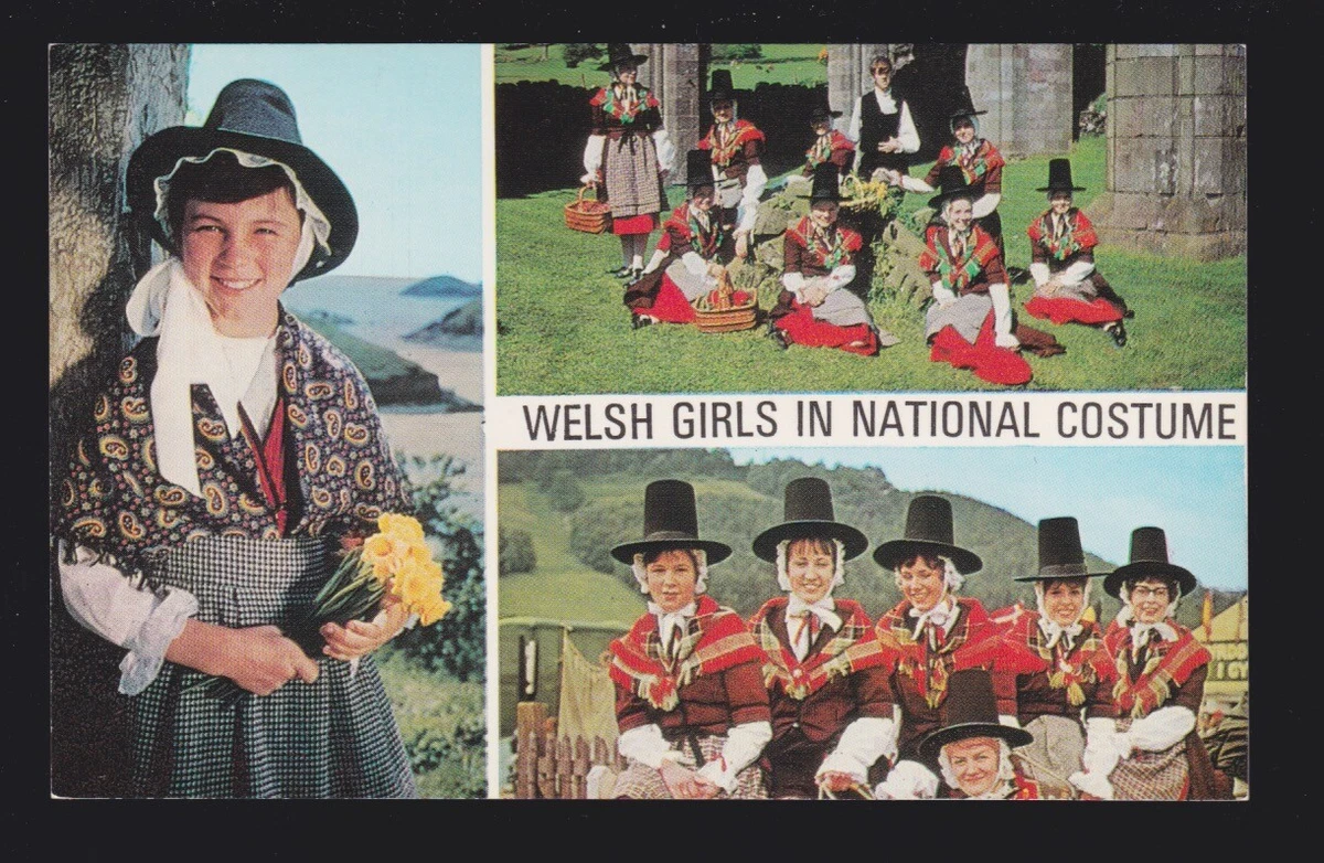Welsh Girl Costume