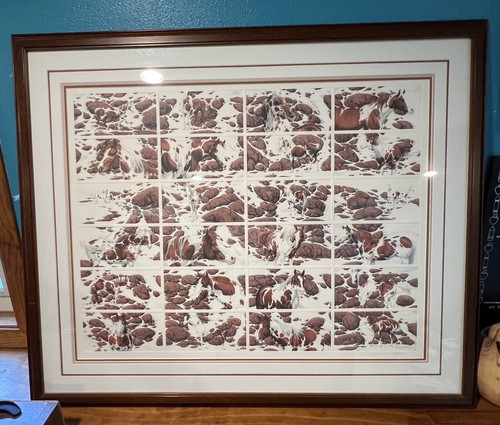 BEV DOOLITTLE "HIDE AND SEEK" PINTO HORSES 3 Piece Print Suite ...