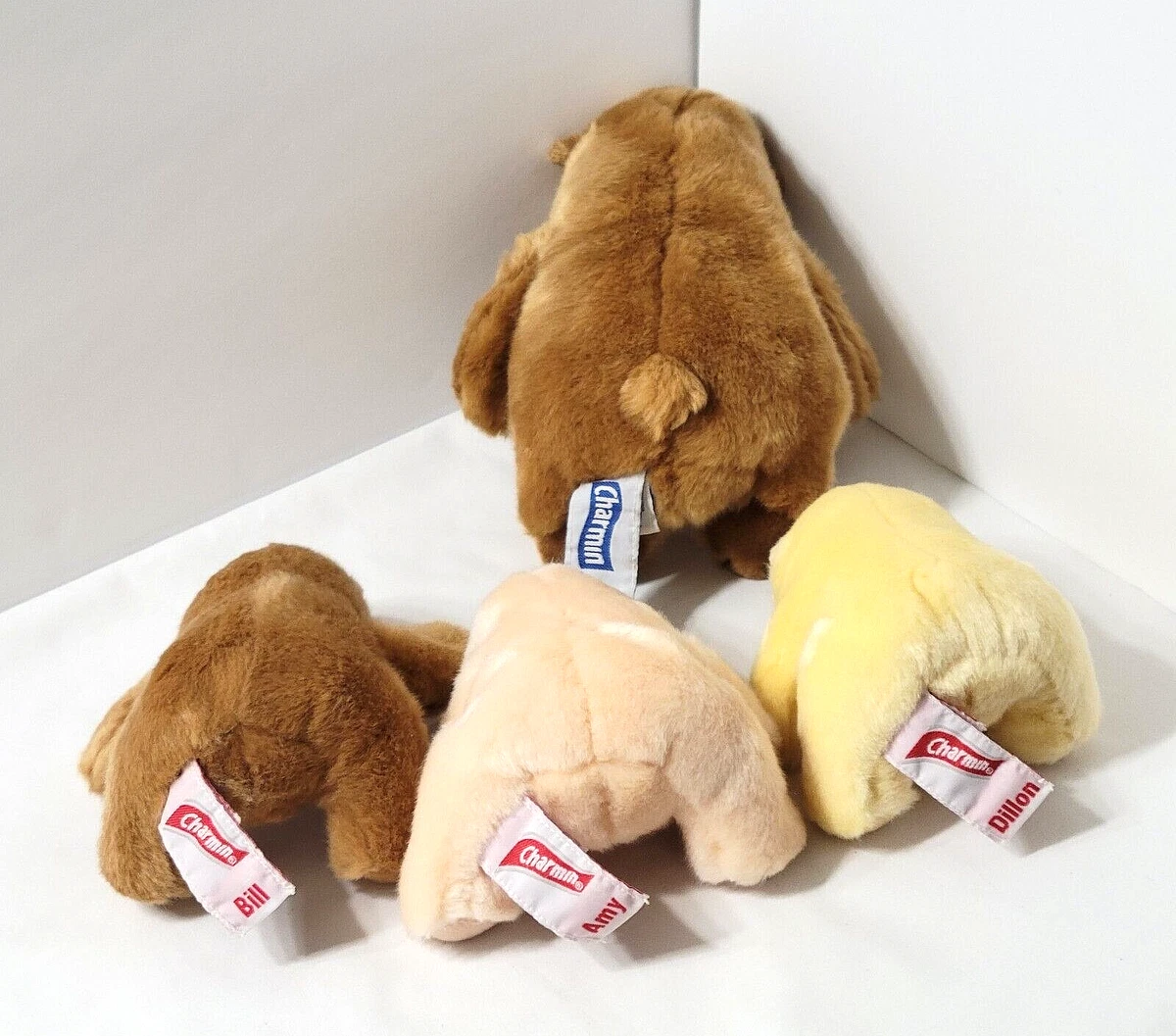 Charmin Bear Family