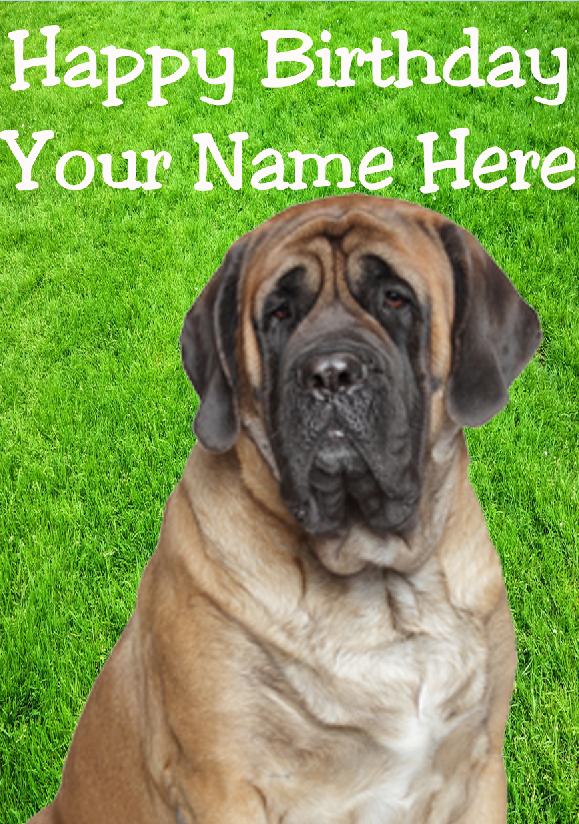 Mastiff Dog hs207 The Garden Fun Cute Personalised Happy Birthday ...