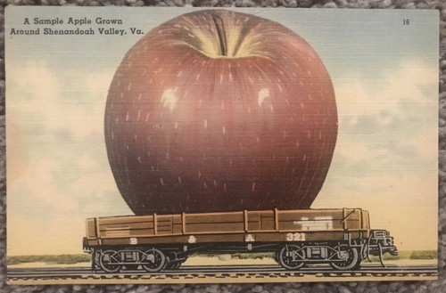 Vintage Sample Apple Grown Shenandoah Valley Train Winchester VA Linen ...