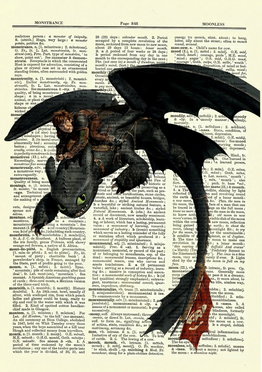 How To Train Your Dragon 2 Toothless And Hiccup Poster