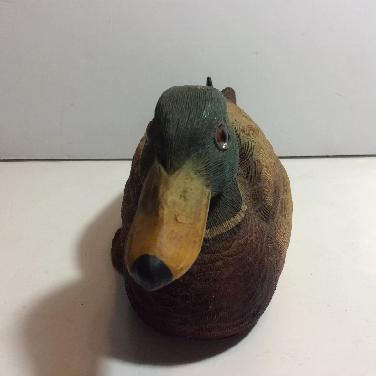 Mallard Duck Mounts Sitting