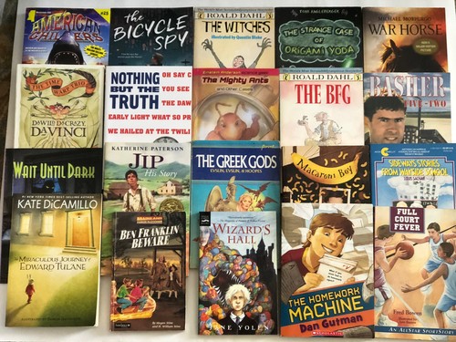 Lot of 20 BOYS Reading Level ACCELERATED READERS 3rd 4th Grade AR Chapter | eBay