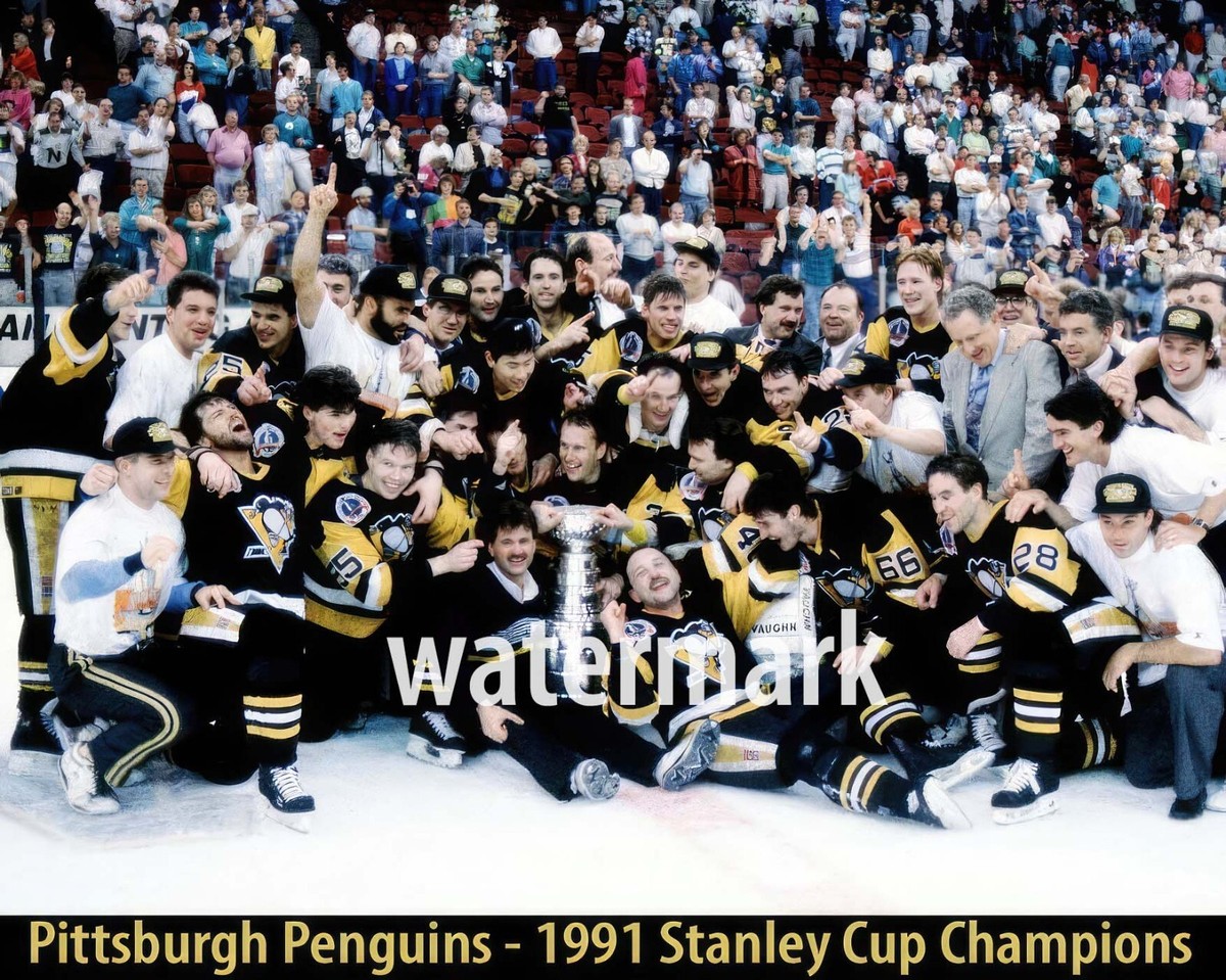 1991 Stanley Cup Champions