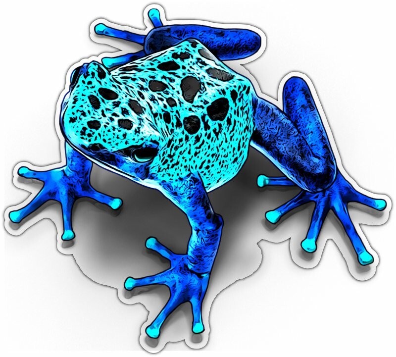 Little Blue Frog Wildlife Car Bumper Vinyl Sticker Decal 4.6" | eBay