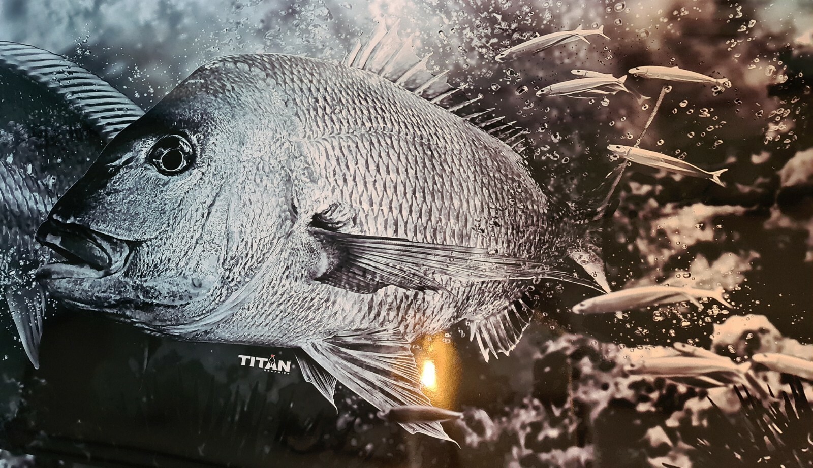 Boat Wrap - Snapper & Jewfish Black and White - Half Wrap 660mm x ...