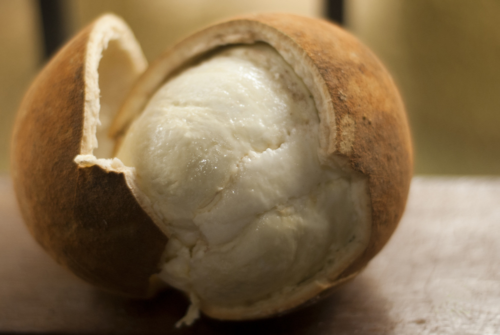 Cupuacu powder 32oz (907g) Freeze Dried Kosher Superfood of the Gods ...