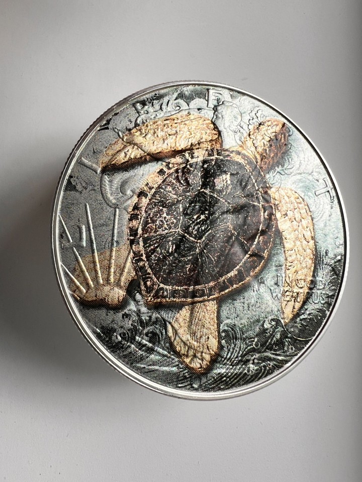 Lucky Gold Sea Turtle - American Silver Eagle 1oz .999 Silver Dollar ...