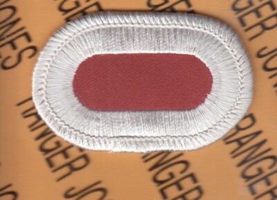 307th Engineer Bn 82nd Airborne Division para oval patch m/e woven | eBay