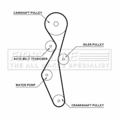 Timing Belt Water Pump Kit FOR FORD C-MAX II 2.0 10->ON TXDB TYDA UFDB ...