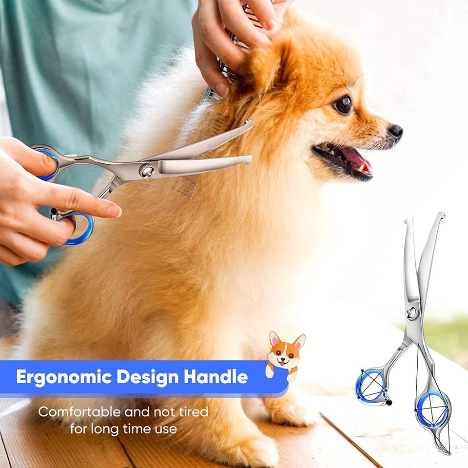 6PCS Professional Pet Dog Grooming Scissors Set Straight Curved ...