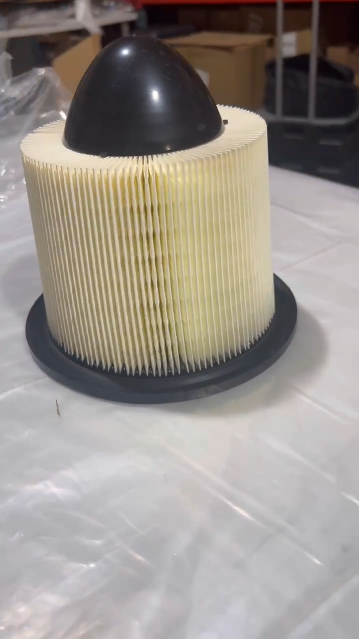 Air Filter F6ZZ-9601-AA For FORD, E-350 E-450 Super Duty, E-150, E-250 ...