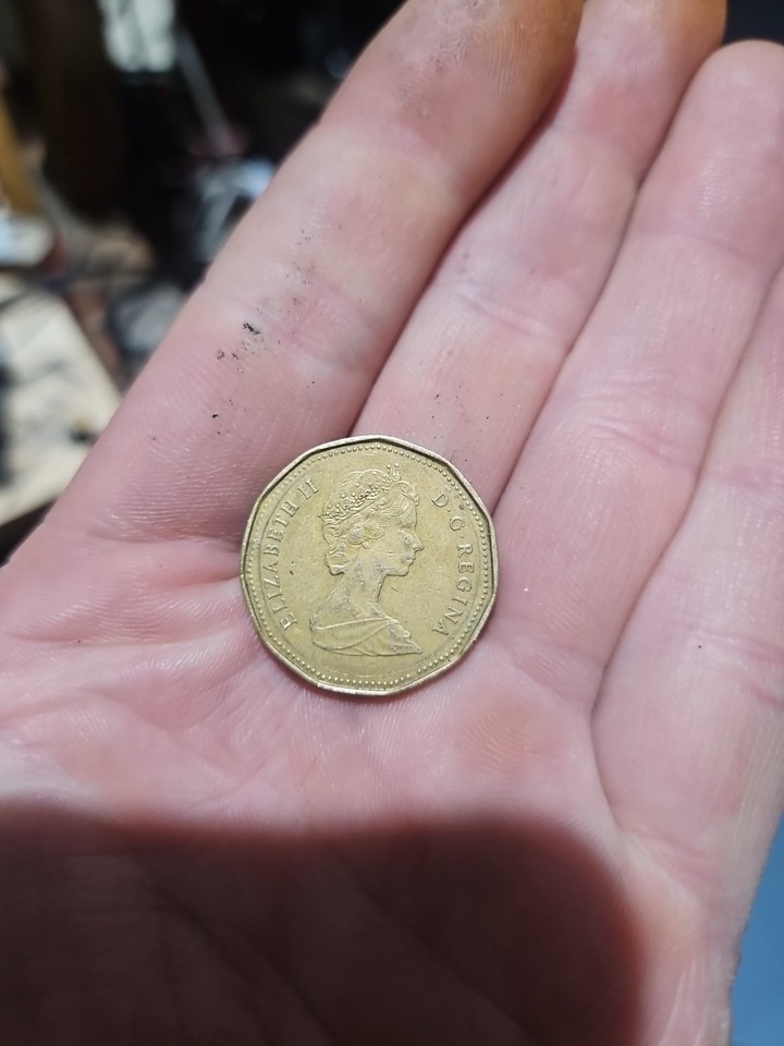 1988 Canadian Loonie 1 dollar coin in excellent pristine condition | eBay