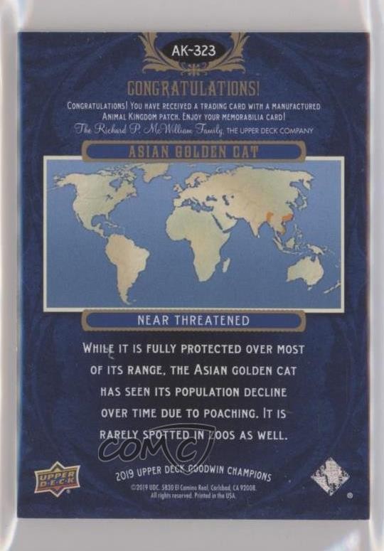 2019 Goodwin Champions Animal Kingdom Tier 2 Asian Golden Cat #AK-323 ...
