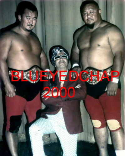 Mr. Fuji Tanaka Tag Team History: Mr. Fuji And Professor Toru Tanaka