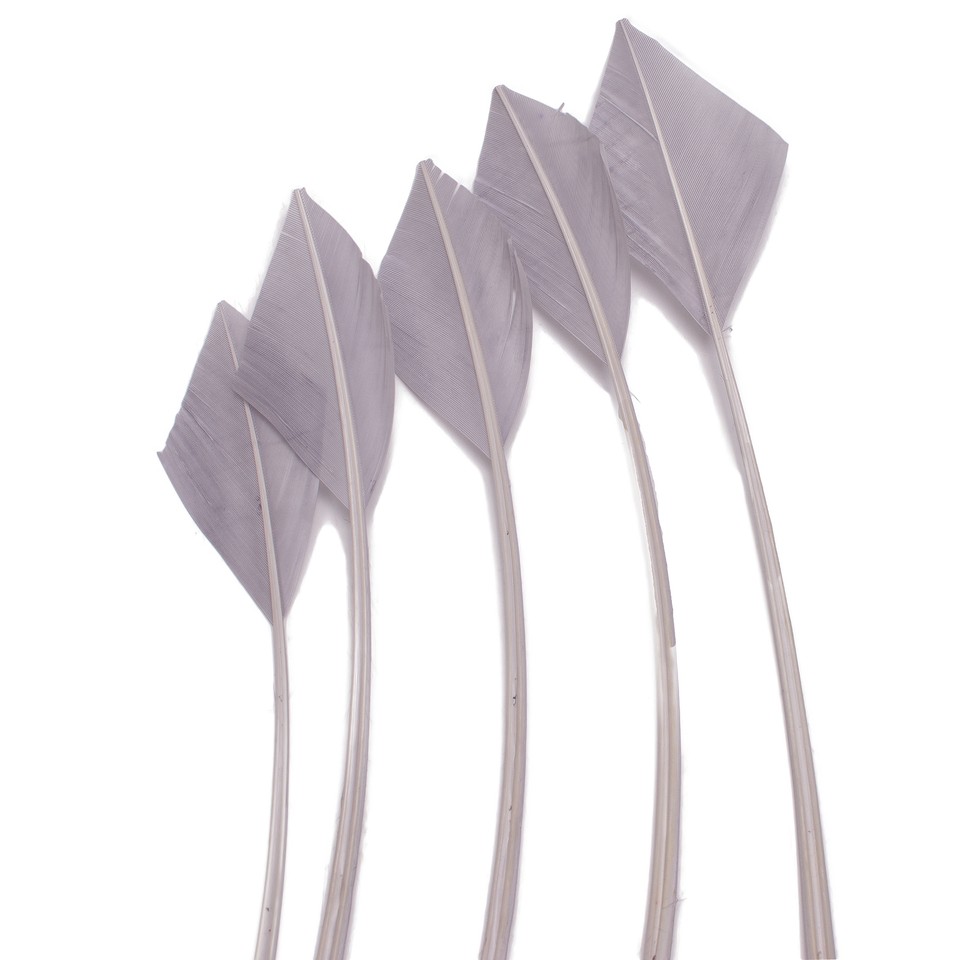 5pcs Arrowhead Turkey Quill Feather singles Millinery Hats Fascinator ...