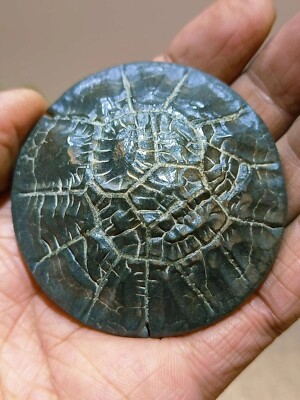 China Natural stone "tortoise back pattern" stone Moire stone 051604 | eBay