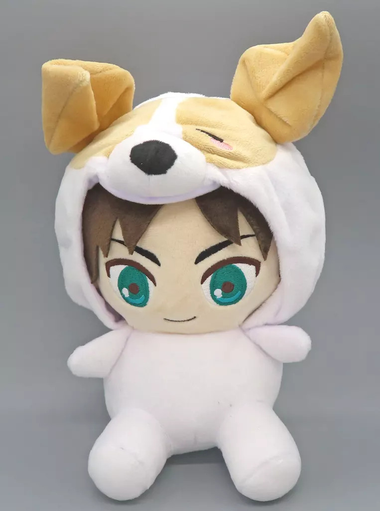 Eren (Freedom ver.) Animal Plush Doll (S) Attack on Titan 20cm | eBay
