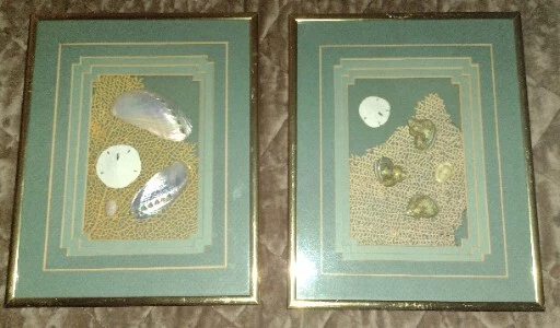 Abalone Seashell Boxes