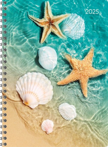 Ladytimer Ringbuch Beach 2025 - Taschen-Kalender A5 (15x21 cm) -... | eBay