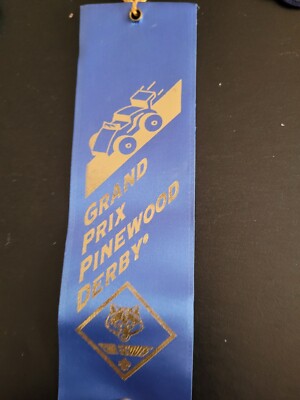Cub Scout Grand Prix Pinewood Derby Blue Ribbons Lot Of 25 Boy Scouts ...