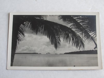 G14 Postcard RPPC Tropical scene Palm Trees Water NOKO Hawaii ? Guam ...