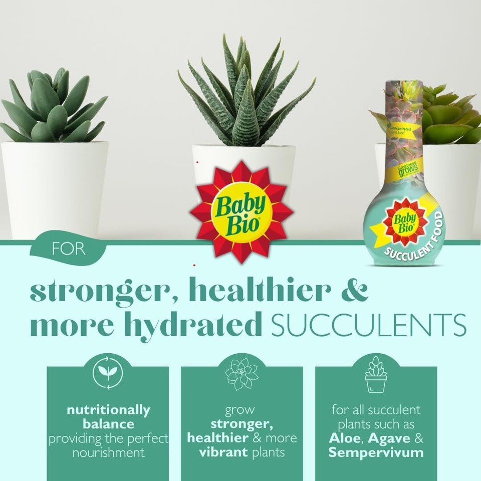 Baby Bio Succulent Food,175ml Liquid Concentrate Fertiliser - Stronger ...