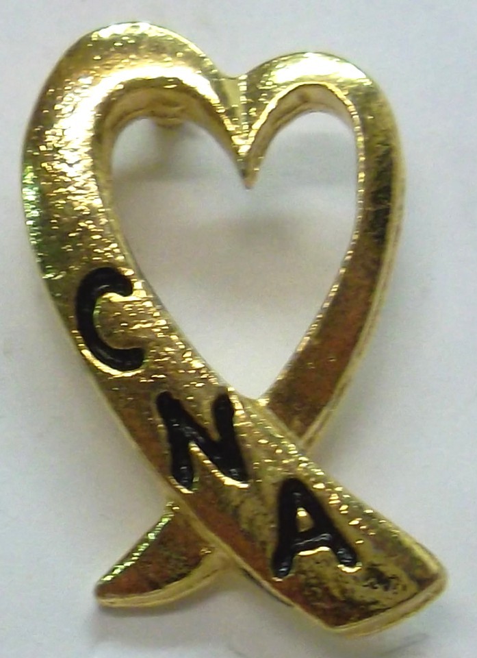 Certified Nursing Assistant With CNA Script in Heart Lapel Pin Gold ...