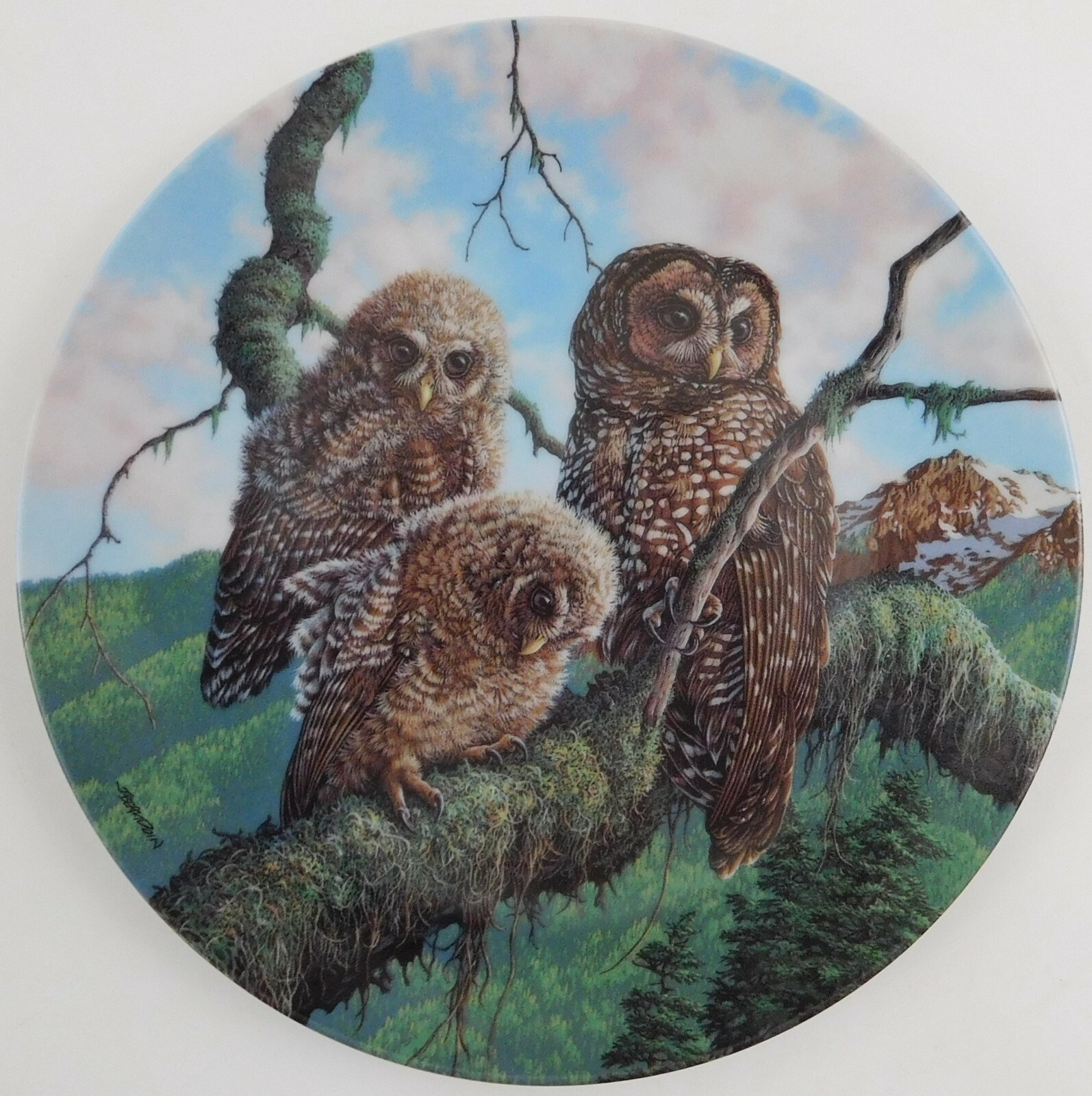 Knowles Jim Beaudoin Woodland Watch Spotted Owls Plate Under Mothers ...