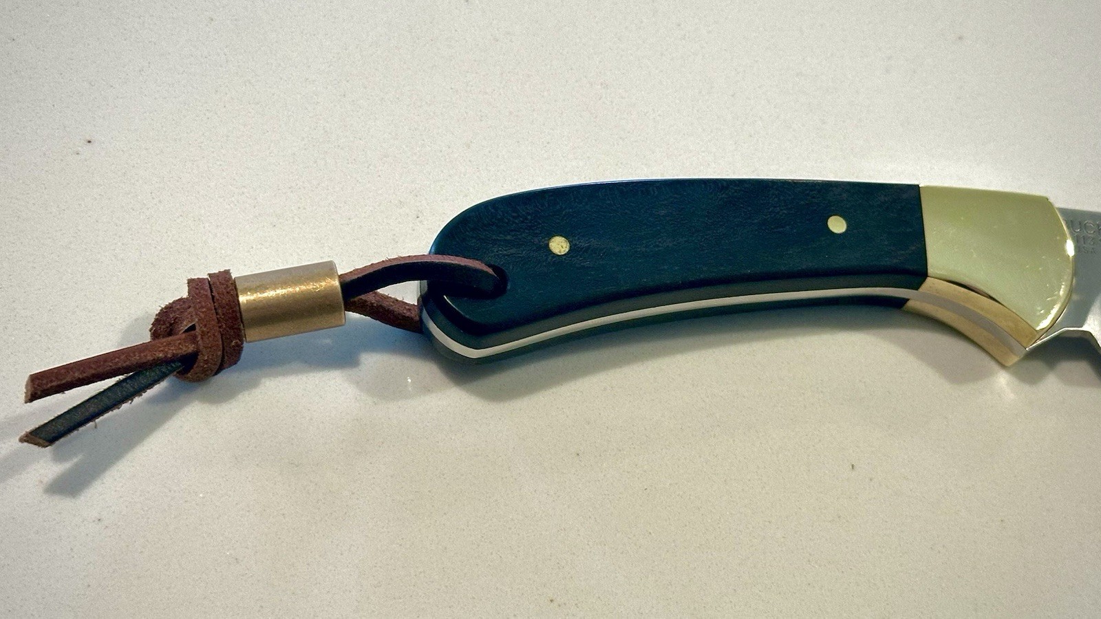 Buck 113 Ranger Skinner Fixed Blade Knife with Sheath, 420HC & Ebony ...