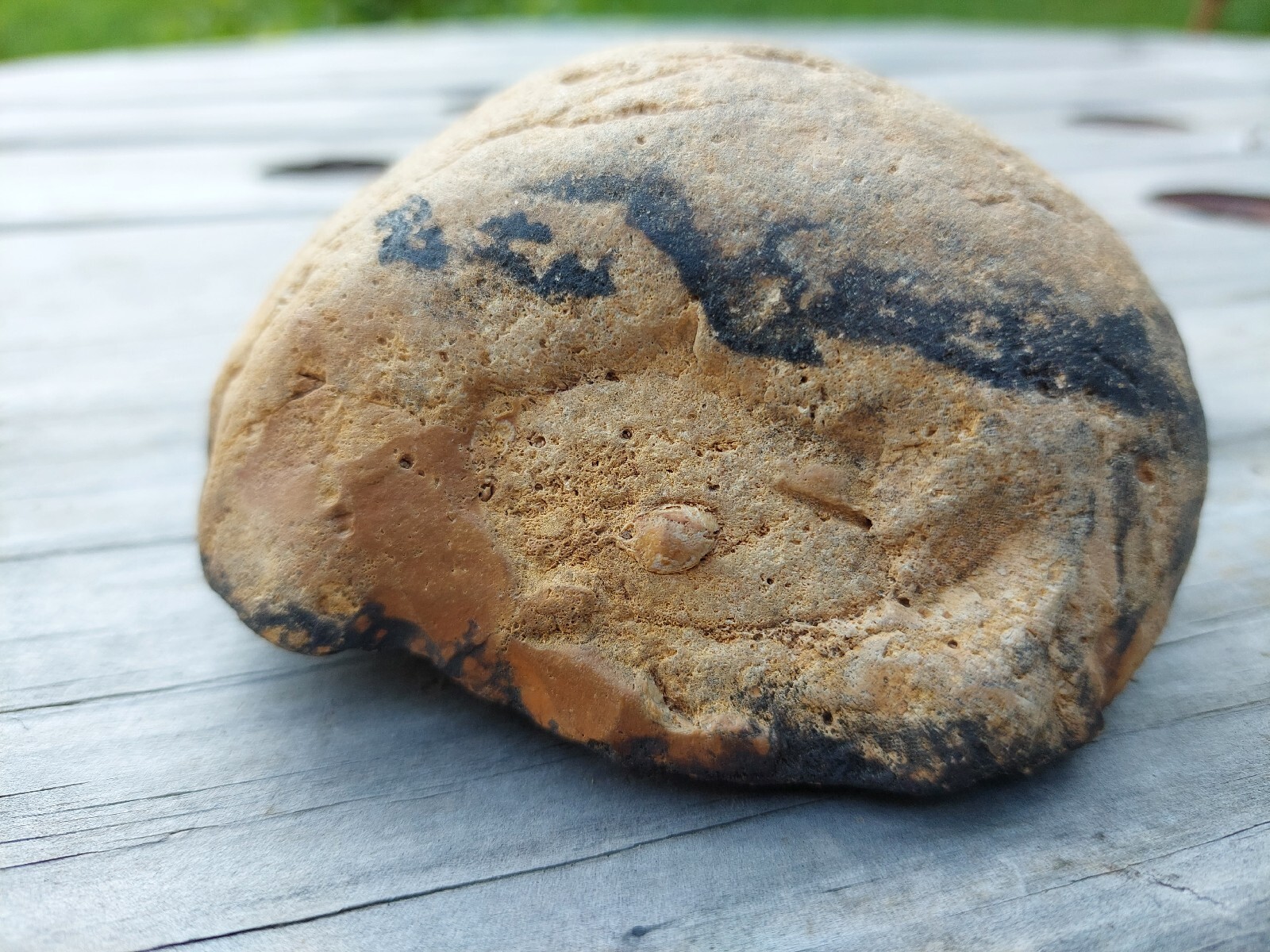 HUGE 570g Ancient Nutting Stone / Multi-Tool Tennessee Native American ...