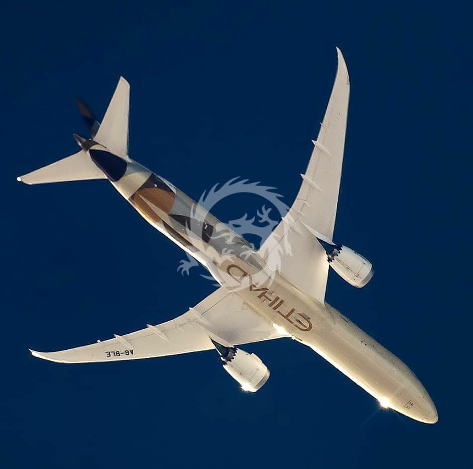 Boeing 787-900 ETIHAD USA - A6-BLE decals 1/144 Pas-Decals | eBay UK