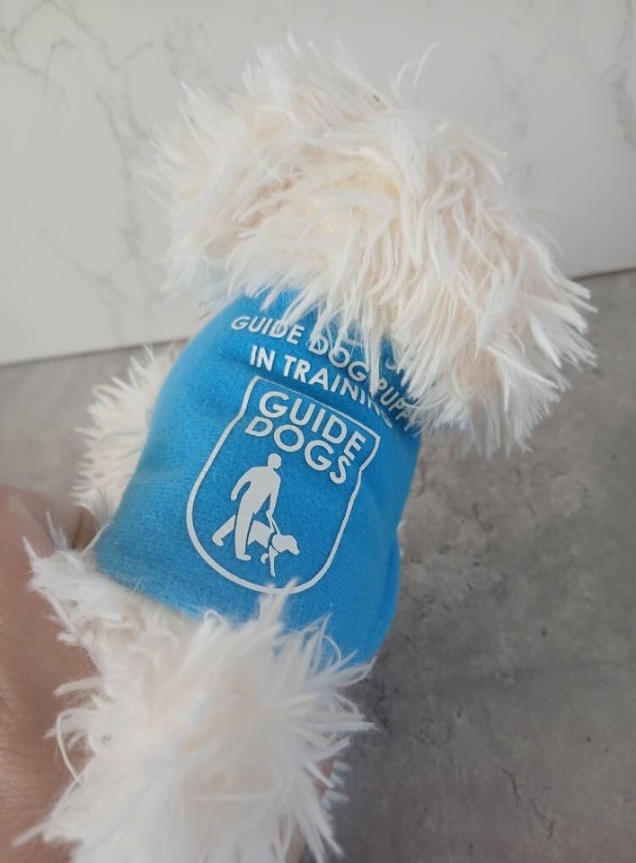 Adopt a plush - Guide dog soft toy puppy, lovely condition, 7 inches | eBay