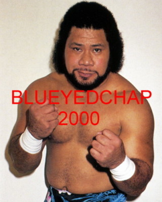 HAKU WRESTLER 8 X 10 WRESTLING PHOTO WWF WCW | eBay