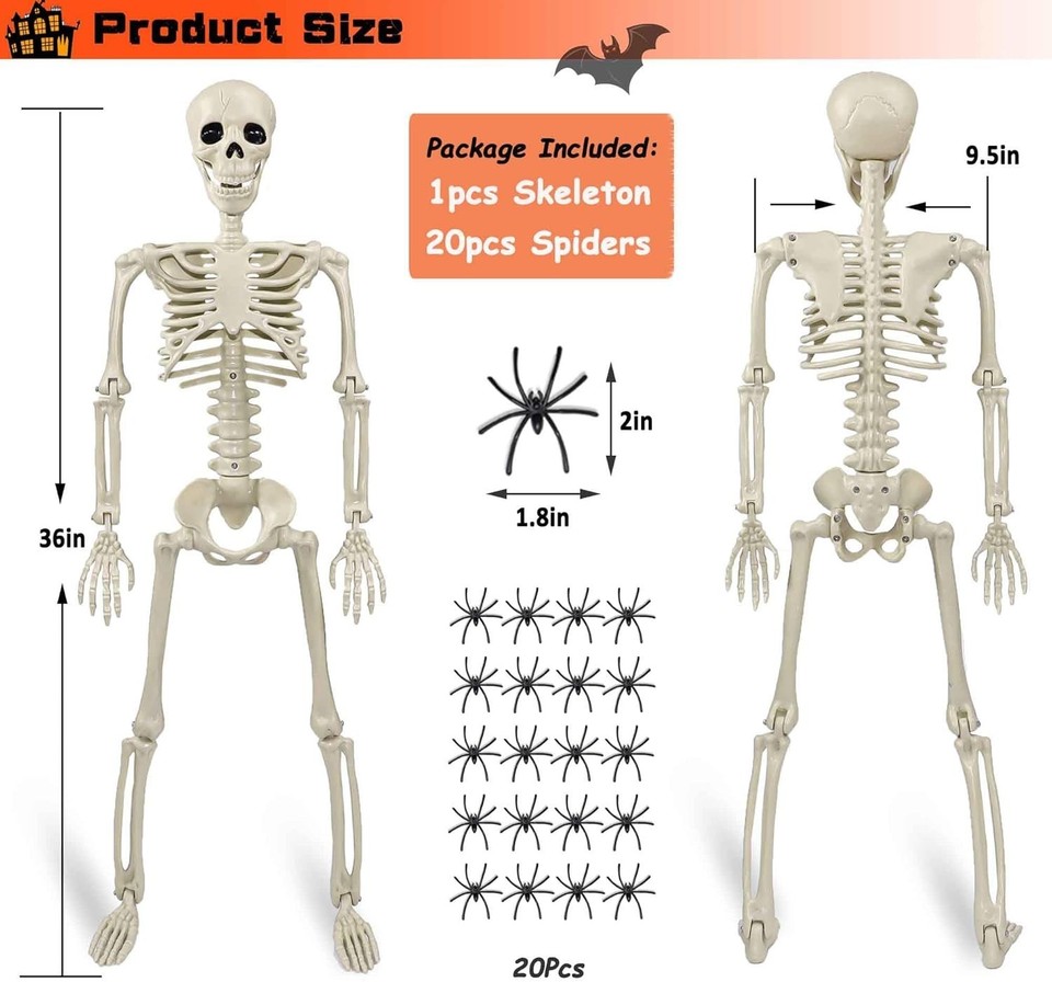 36" Skeleton Halloween Decorations, 3Ft Life Size Human Skeleton with ...