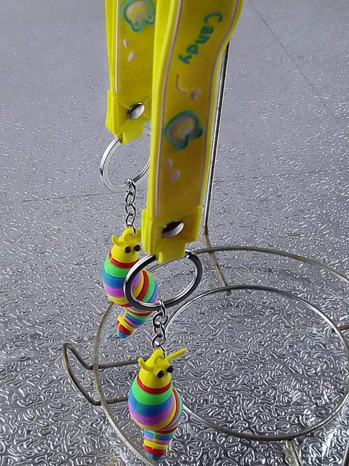Silicon Key Chain Fun Worm Style Multi Colors For Keys & Bags ...