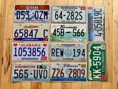 Pack of 10 Craft Condition License Plates from 10 States for Art ...