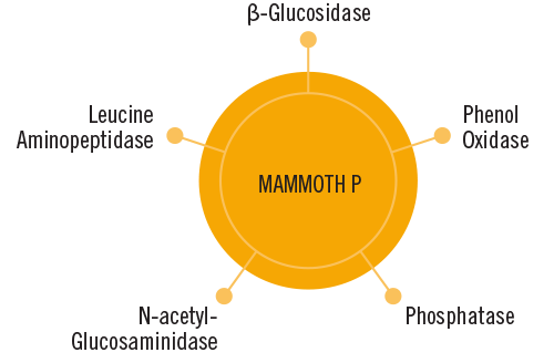 Mammoth P Microbes Active Microbial Phosphorus Bloom Booster Nutrient ...
