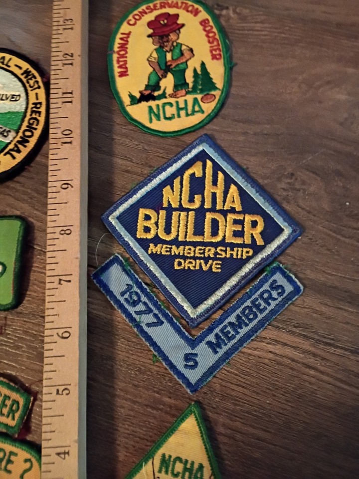 9 NCHA Jacket PATCHES 1970s National Camping Hiking Association Vintage ...