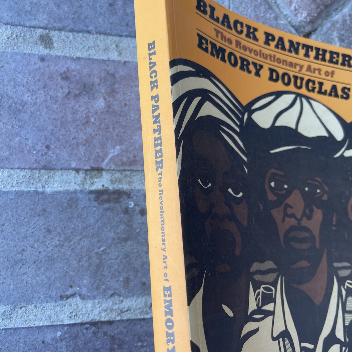 Emory Douglas Arte Della Pantera Nera All Power To The People. Então