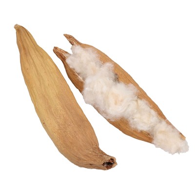 1Pk 2 Pods Small Animals Hamsters, Mice, Gerbils Naturals Play n ...