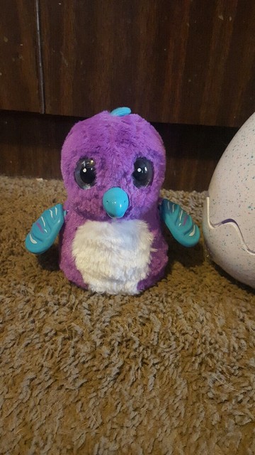 Hatchimal toy lot and two hatchimals purple dragon blue dragon battery ...