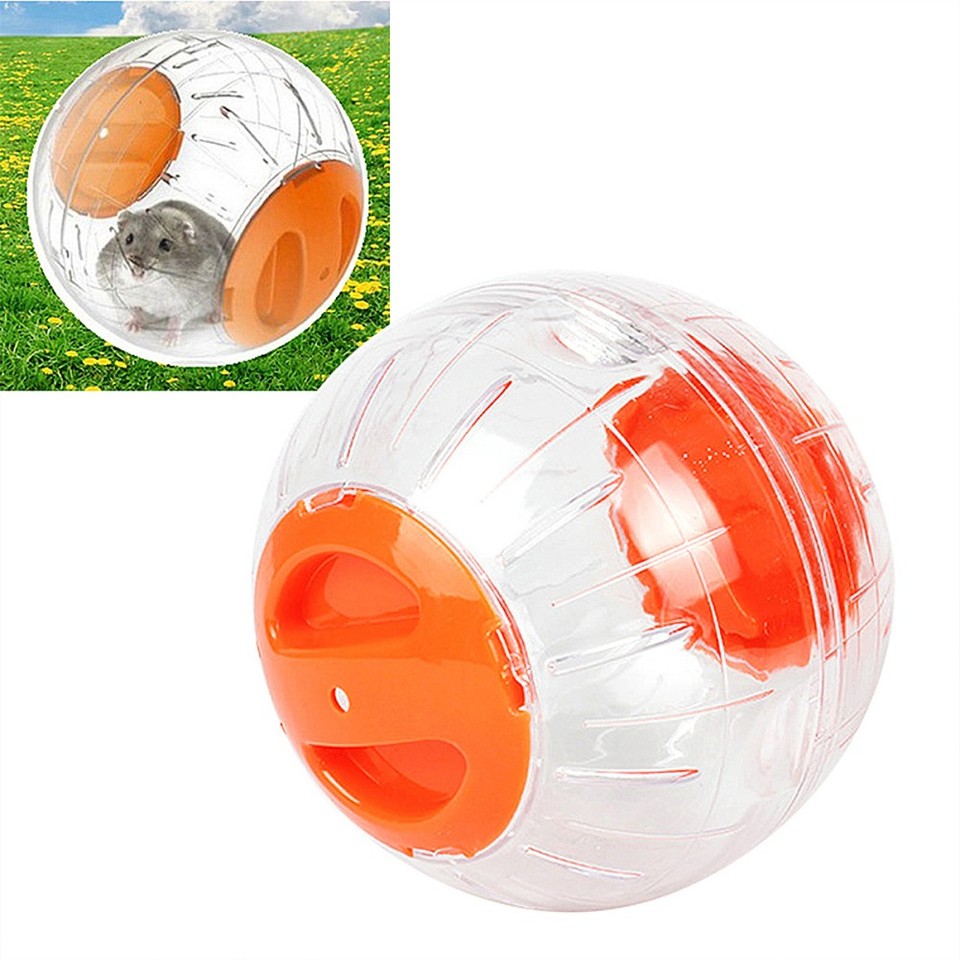 Hamster Running Ball Run Exercise Ball Run-About for Small Animal Pet ...