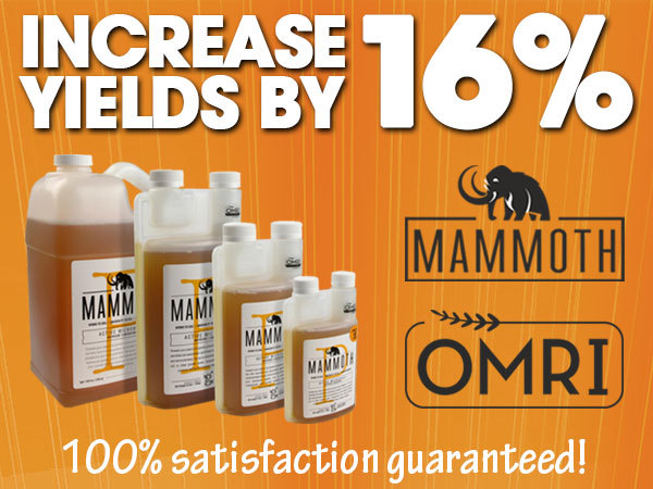 Mammoth P Microbes Active Microbial Phosphorus Bloom Booster Nutrient ...