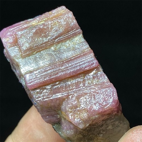 26g Natural Red Tourmaline Quartz Crystal Rock Mineral Specimen ...