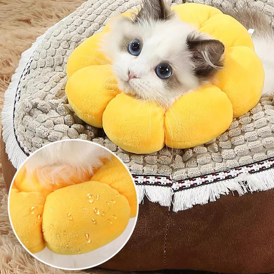 Dog Collar Elizabeth Cat Anti Lick Tusi Bread Soft Head Cover D4W6 N3Q7 ...