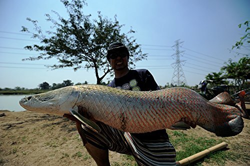 Abu Garcia Luarrod Bait World Monster WMCC-654M MGS Monster Fish Pack ...