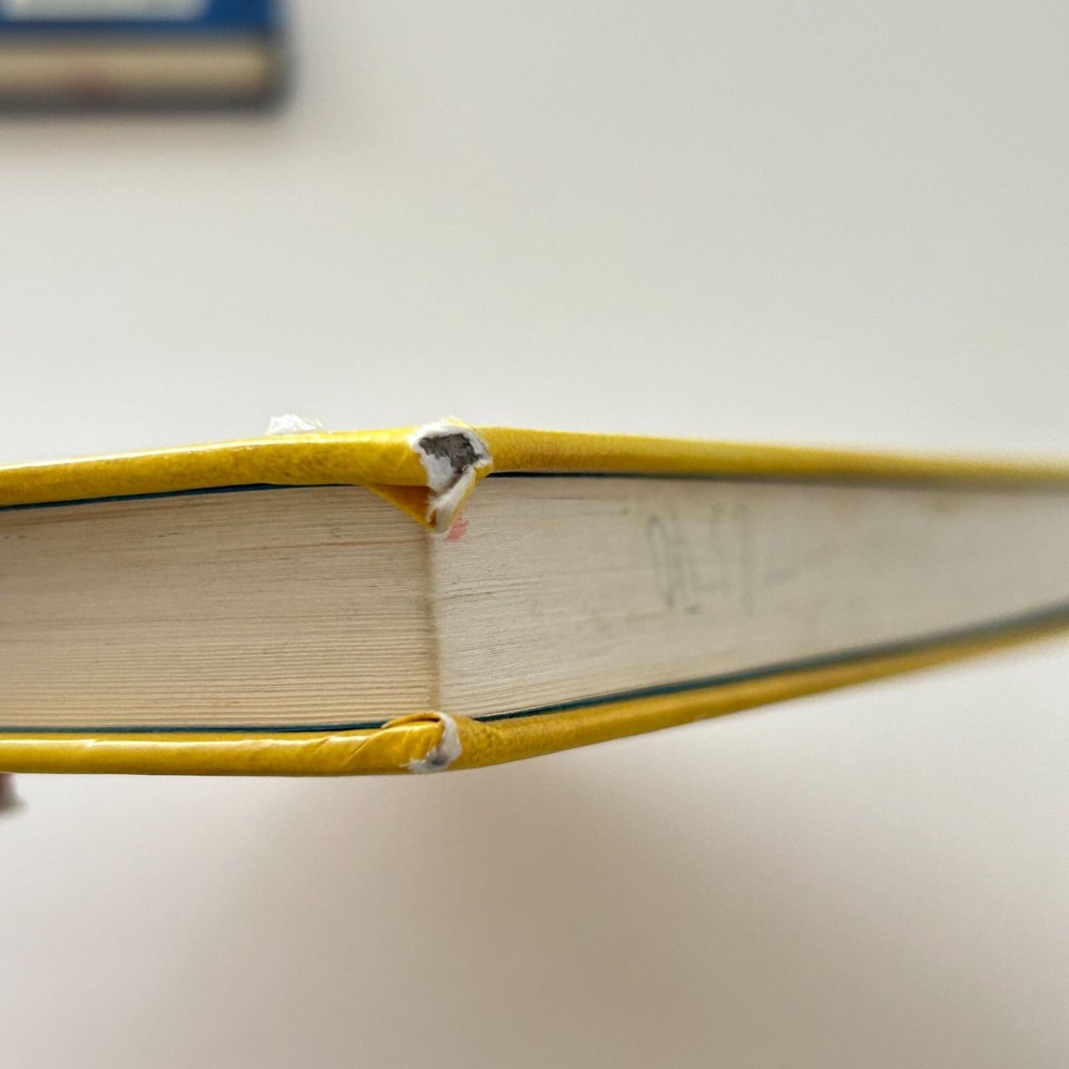 Lot of 8 Diary of a Wimpy Kid Book Set Jeff Kinney Hard Soft Cover ...