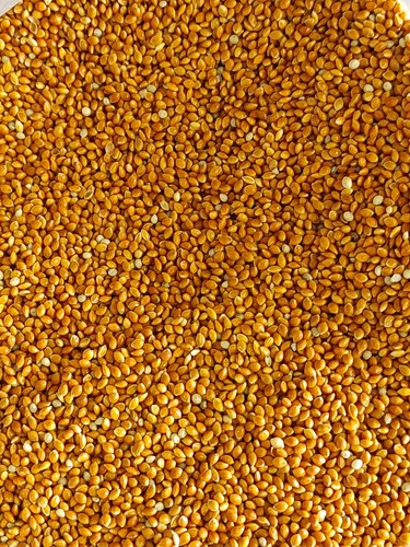 red proso millet 20 lbs bird seed | eBay